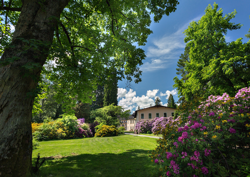 Lázně Velké Losiny - termální park